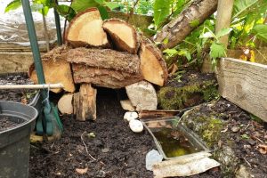 14 DIY Toad House Plans For Home Decoration - All Sands