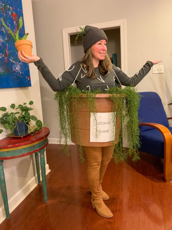 15 DIY Cactus Costume Ideas For Holiday Season - All Sands